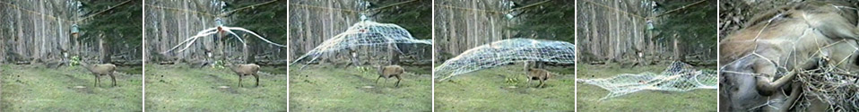 Net Guns - Ace Live Animal Capture - quality net guns for animal ...